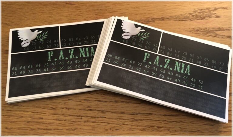 P.A.Z.NIA Sticker - P.A.Z.NIA